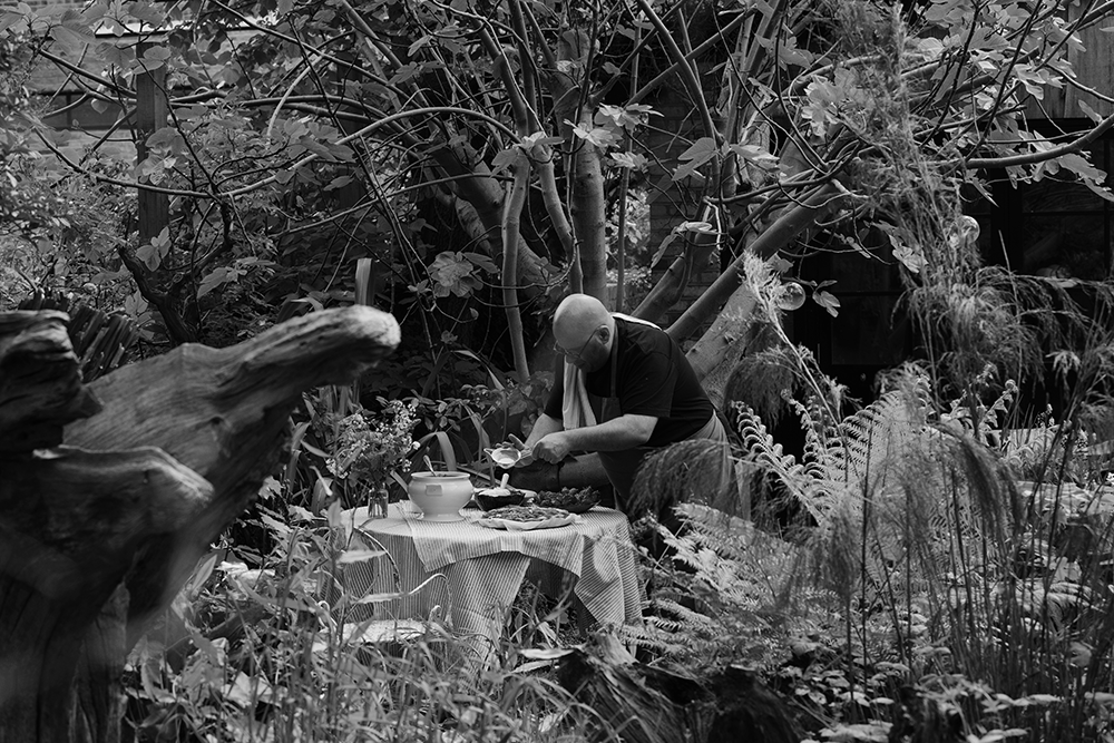 Roy Levy, Companion — magCulture